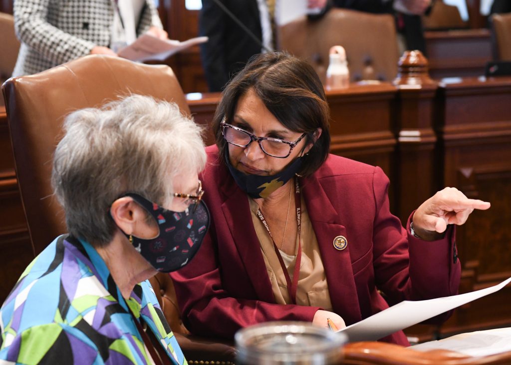 Turner reacts to the passage of partisan maps - Sally Turner