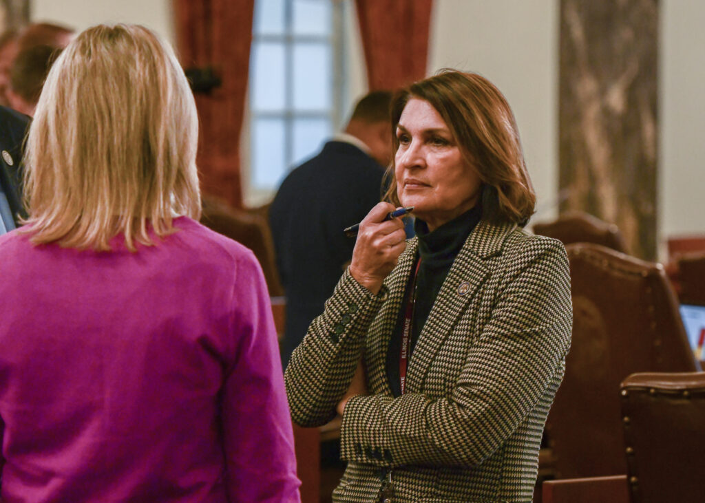 Senator Sally Turner appointed to the Senate Republicans’ Budget ...