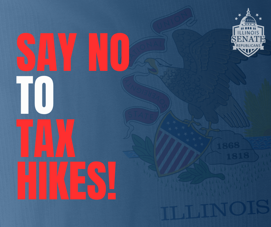 Say NO to Higher Taxes on Illinois Families - Sally Turner